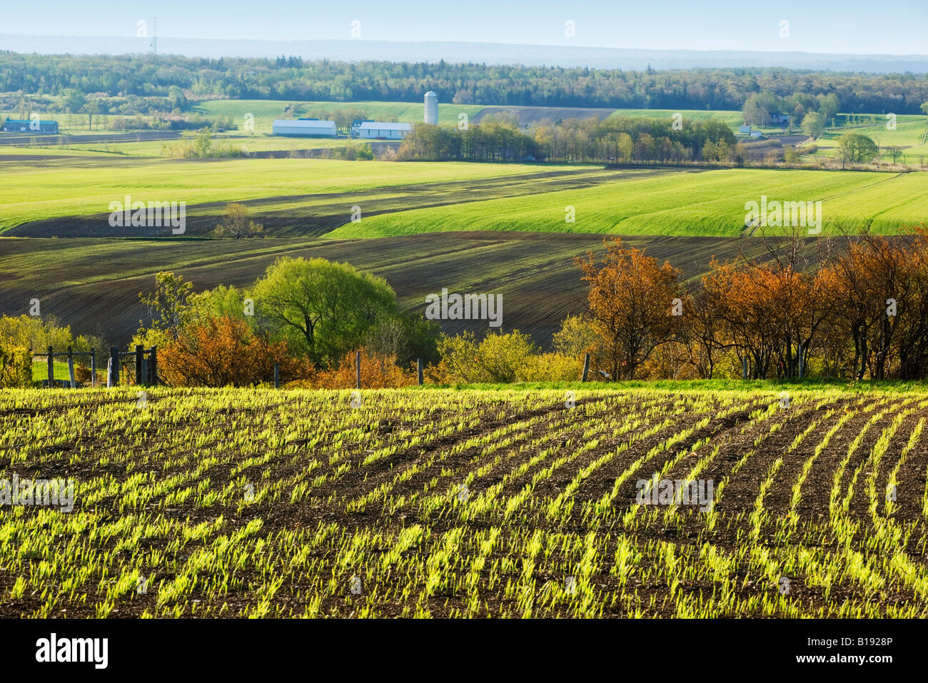 Newly planted farm fields, Berthier-Sur-Mar, Quebec, Canada Stock Photo ...