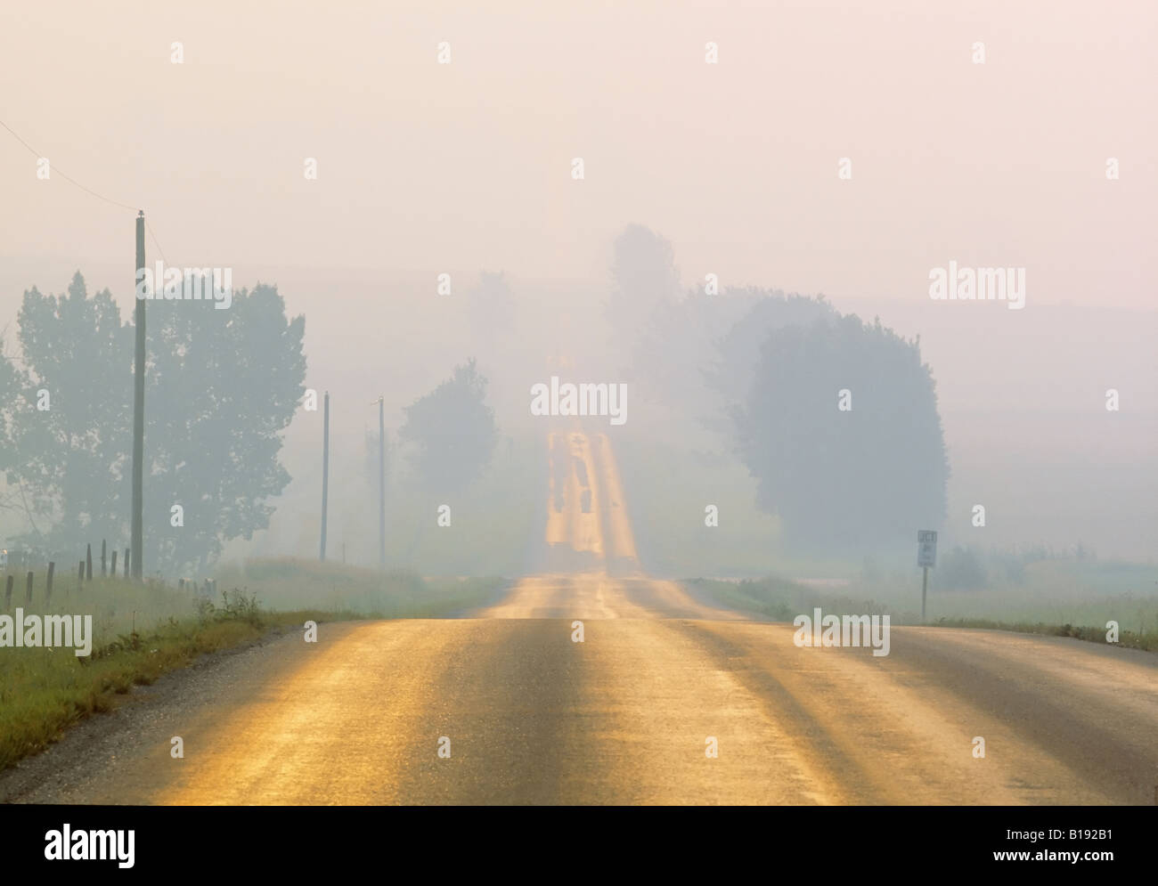 County Highway in Forest Fire Smoke, near Cremona, Alberta, Canada ...