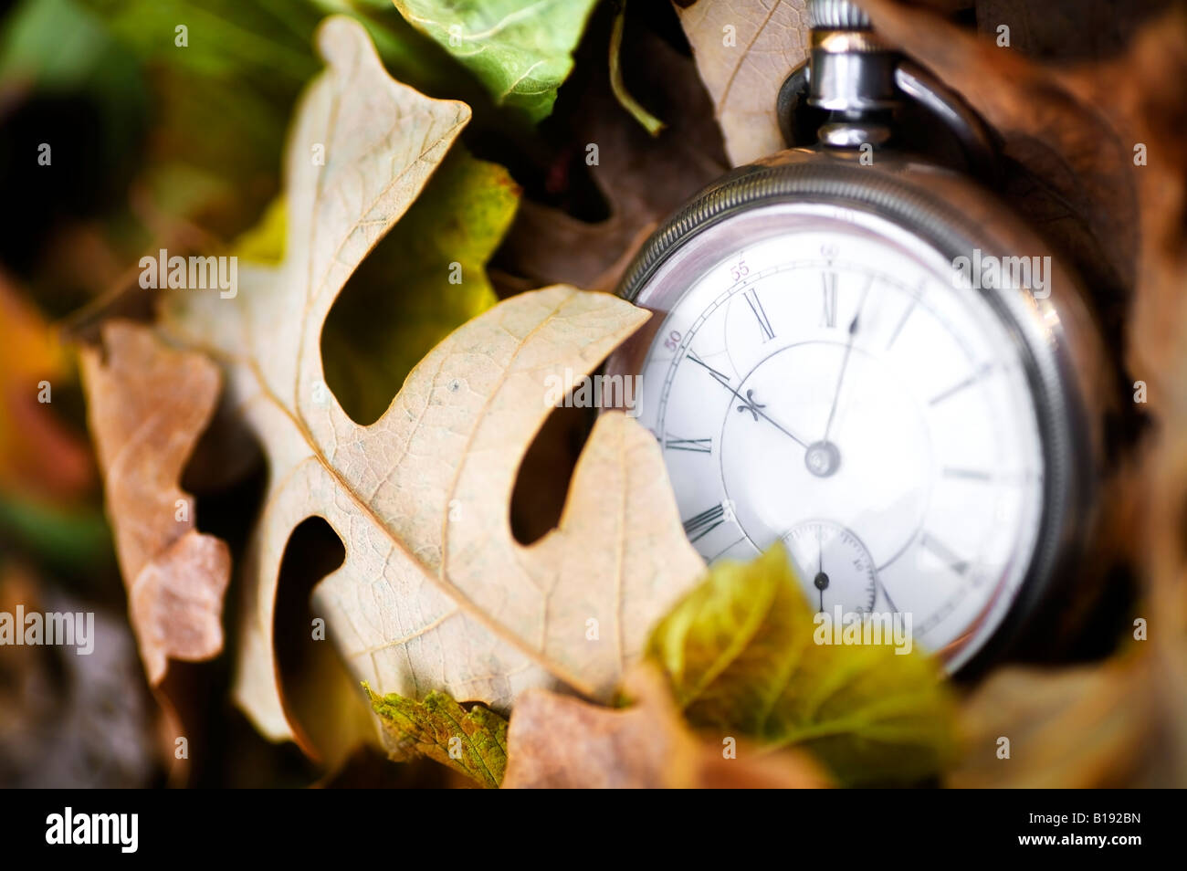 Passing of the seasons hi-res stock photography and images - Alamy
