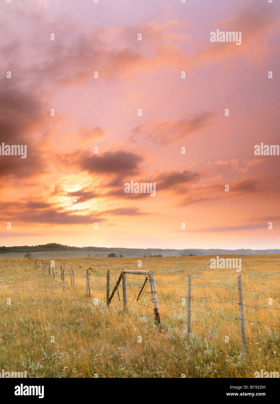 Ranchland fence sunset hi-res stock photography and images - Alamy