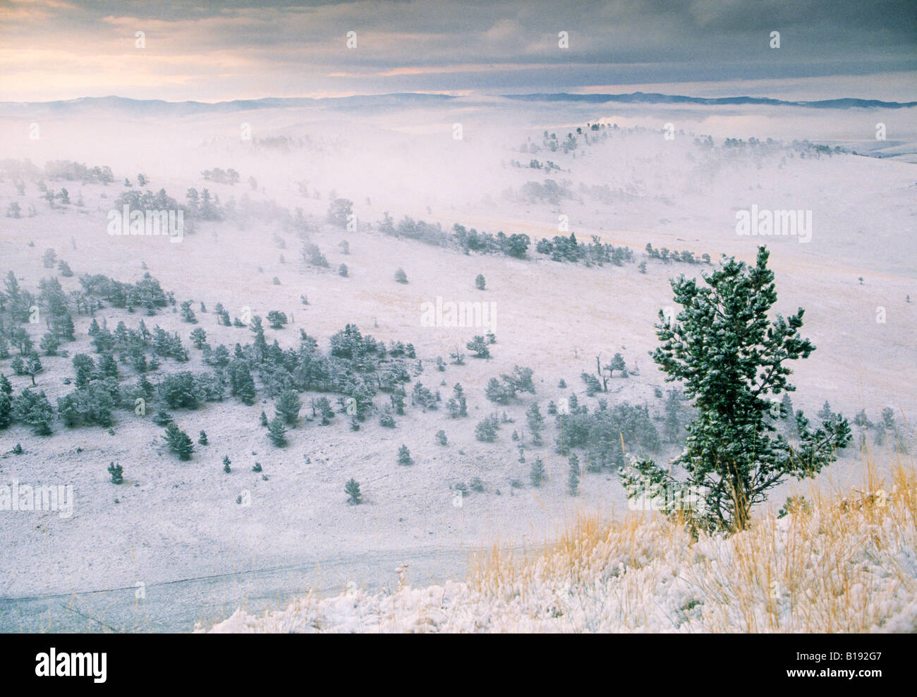 WhaleBack Ridge near Maycroft, Alberta Stock Photo - Alamy