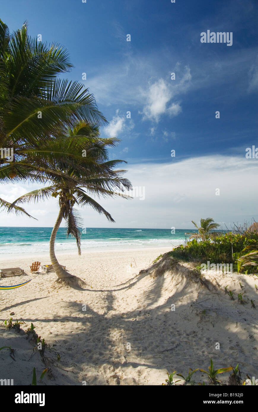 white sand path to the beach Tulum Mexico Stock Photo - Alamy