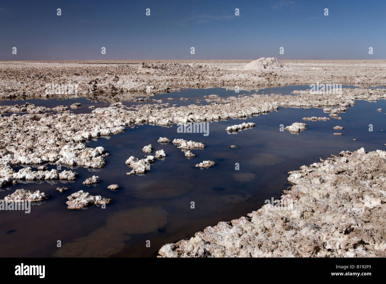 Brine pool atacama hi-res stock photography and images - Alamy
