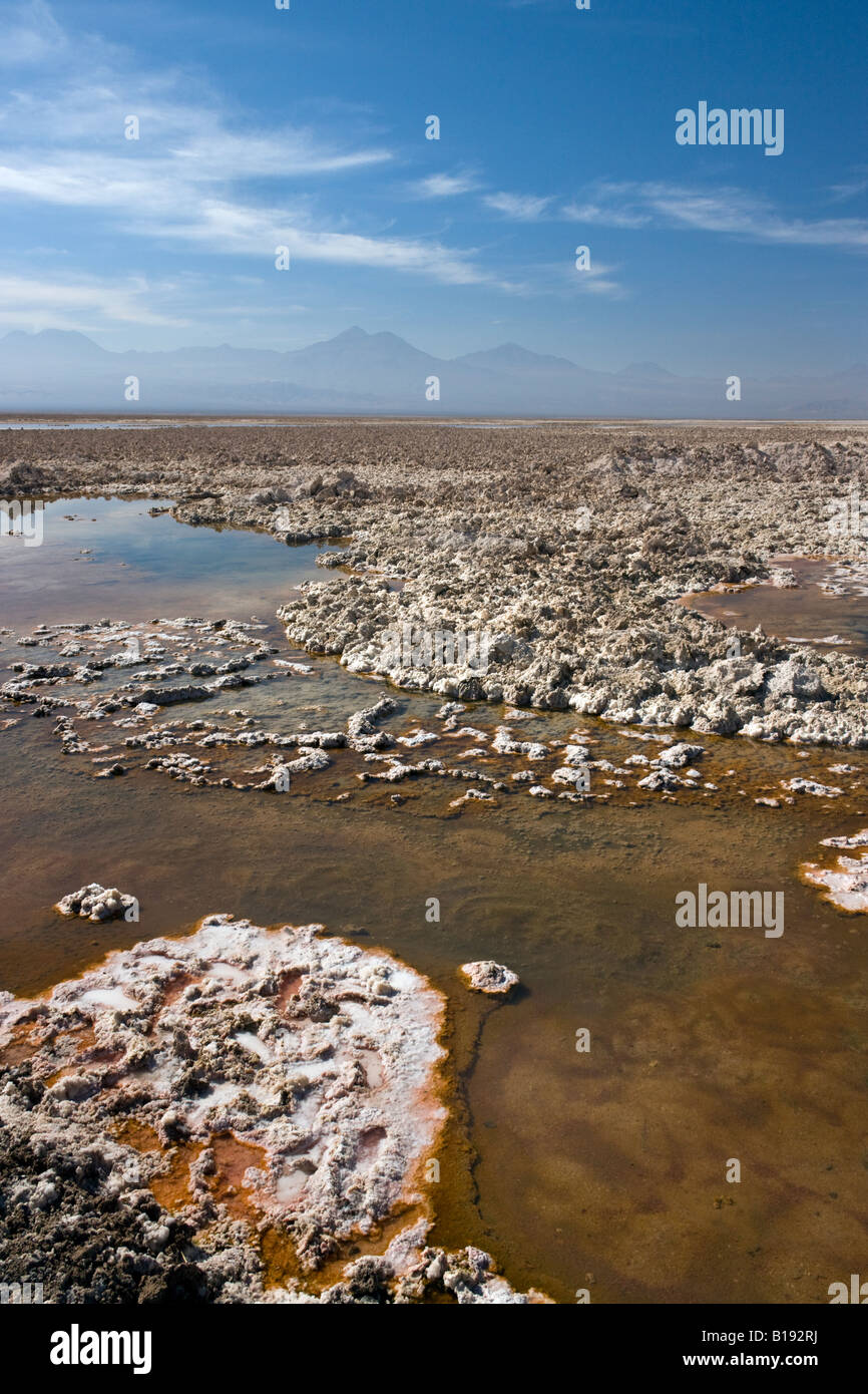 Brine pool on the Atacama Salt Flats in the Atacama Desert in Northern ...