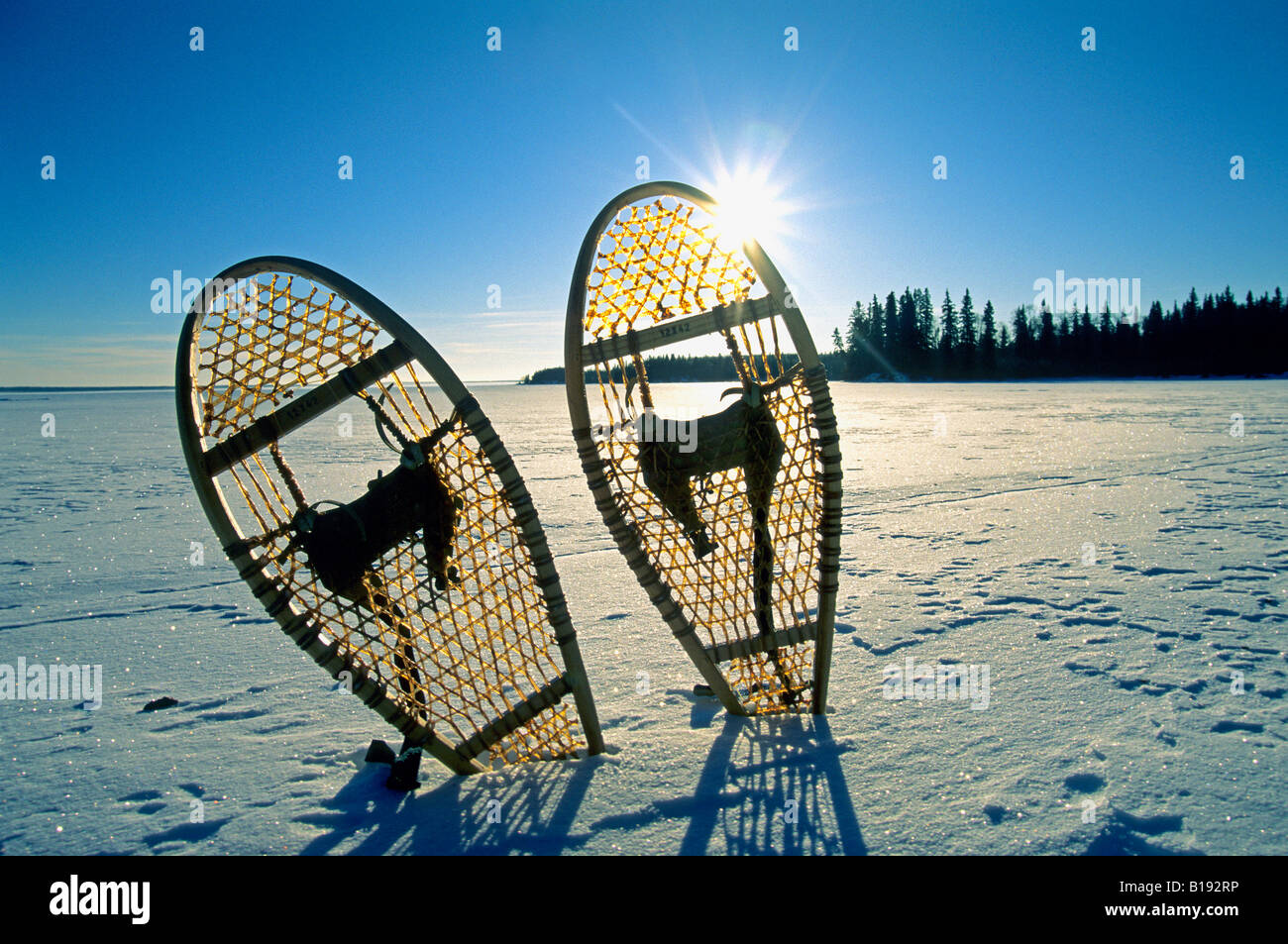 Snowshoes on a frozen northern lake, Canada Stock Photo - Alamy