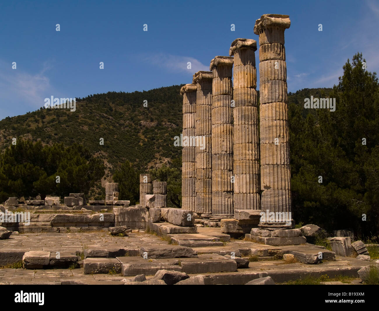 Five columns of the Temple of Athena, Priene, Turkey Stock Photo - Alamy