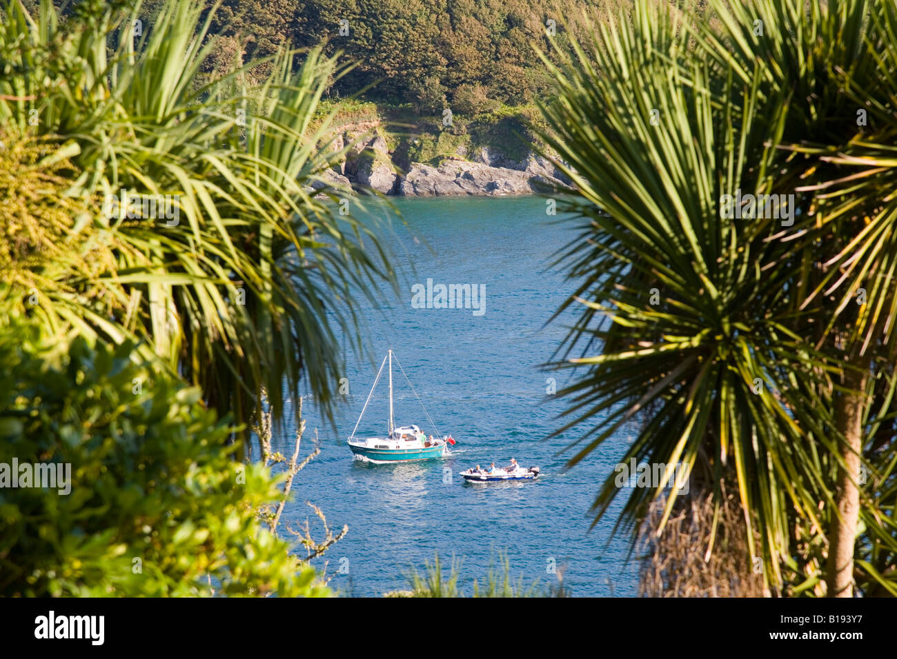 devon salcombe river estuary Stock Photo - Alamy