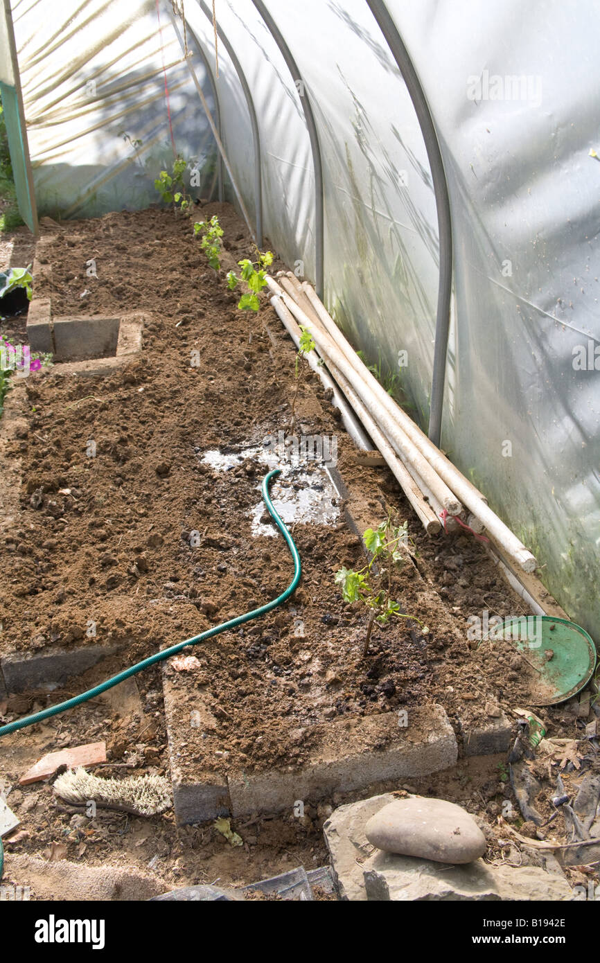 Poly tunnel garden hi-res stock photography and images - Alamy