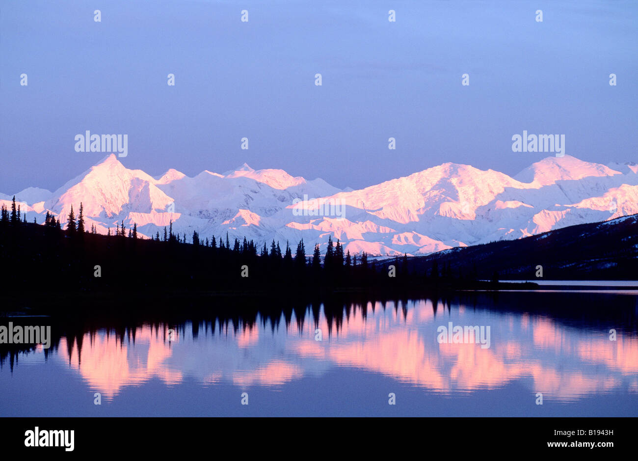 Alpenglow on Mount McKinley, Denali National Park, Alaska Stock Photo ...