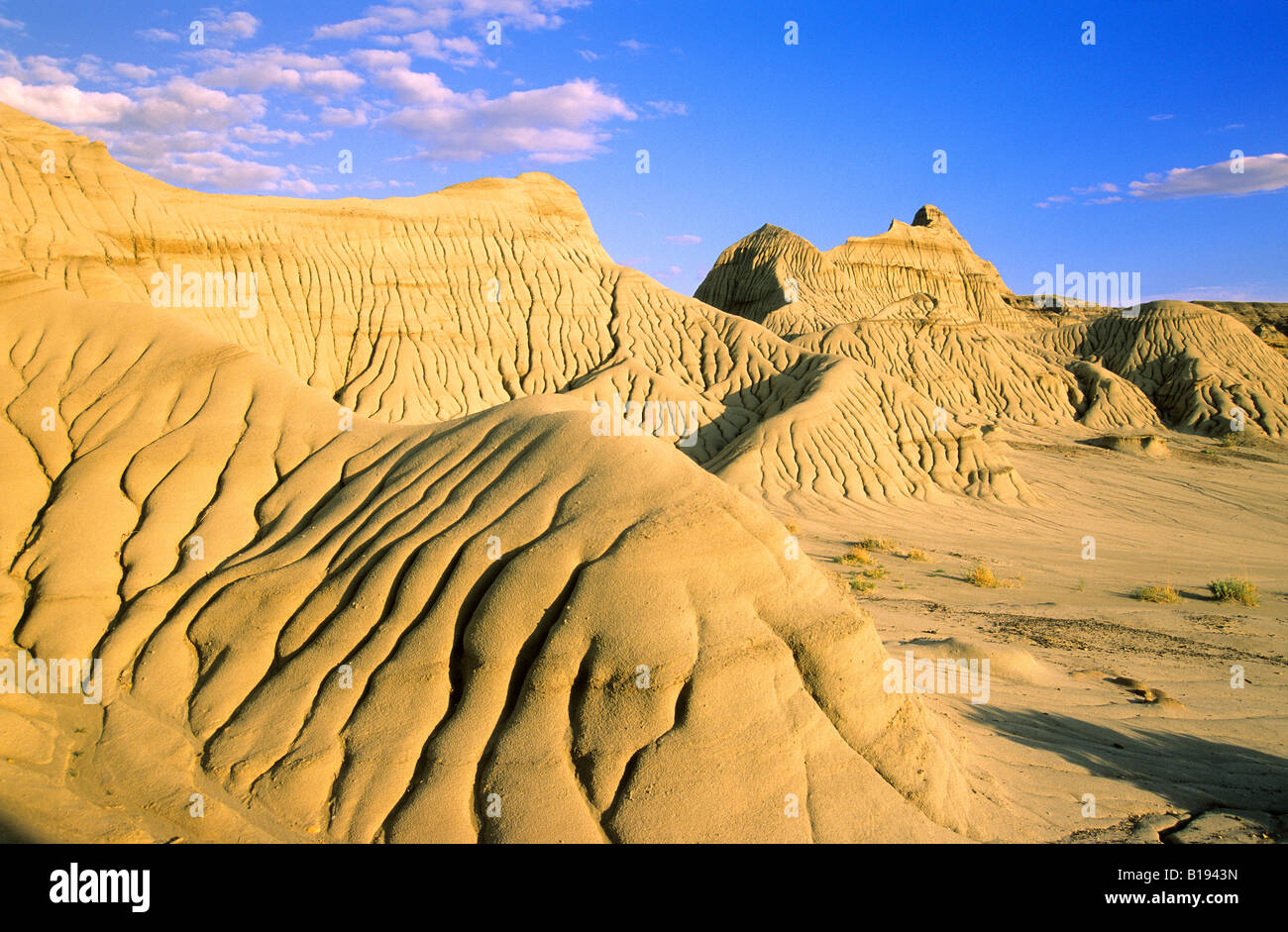 Eroded sandstone slopes of the badlands in Dinosaur Provincial Park ...