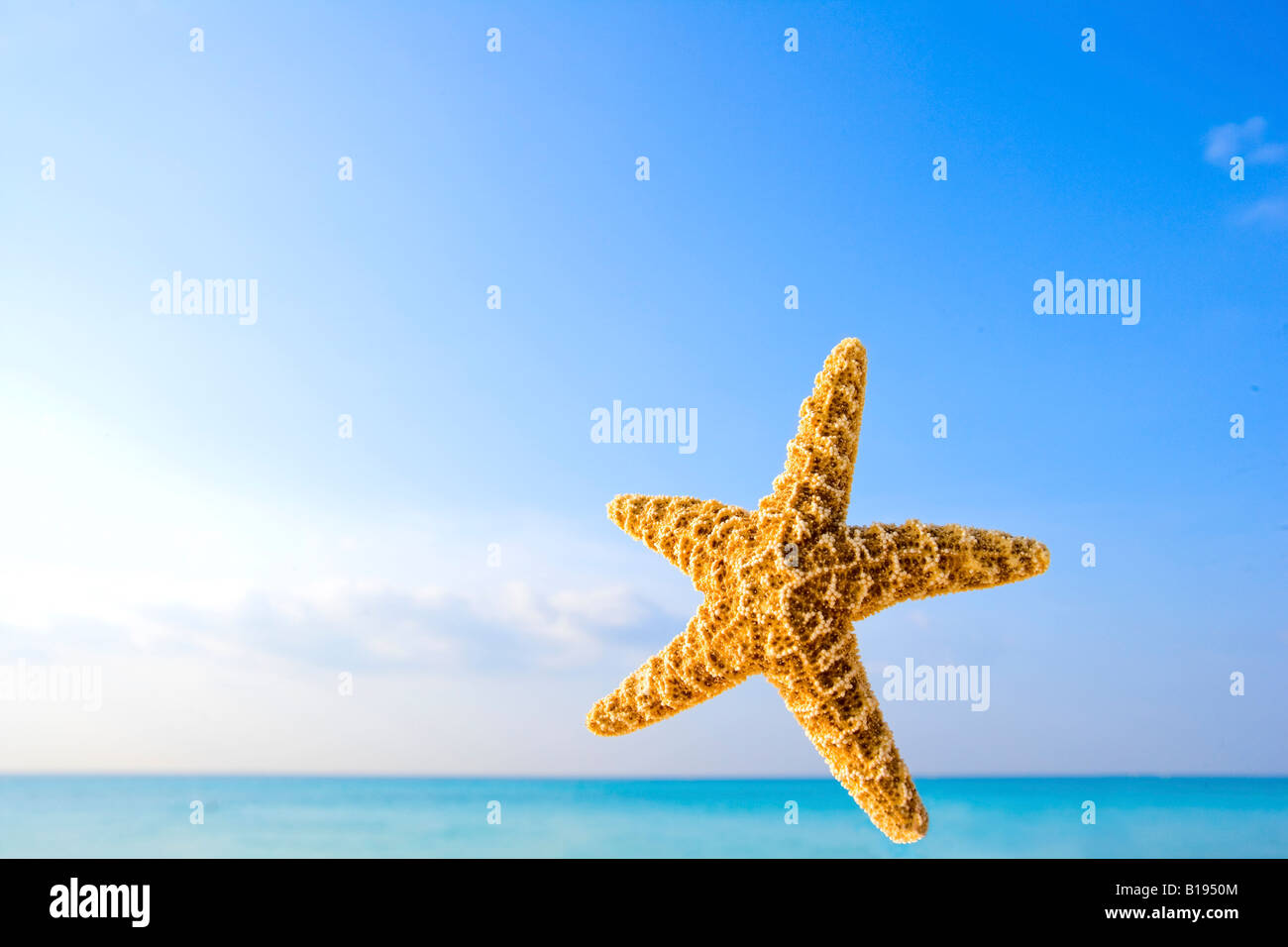 Oceanic horizons hi-res stock photography and images - Alamy