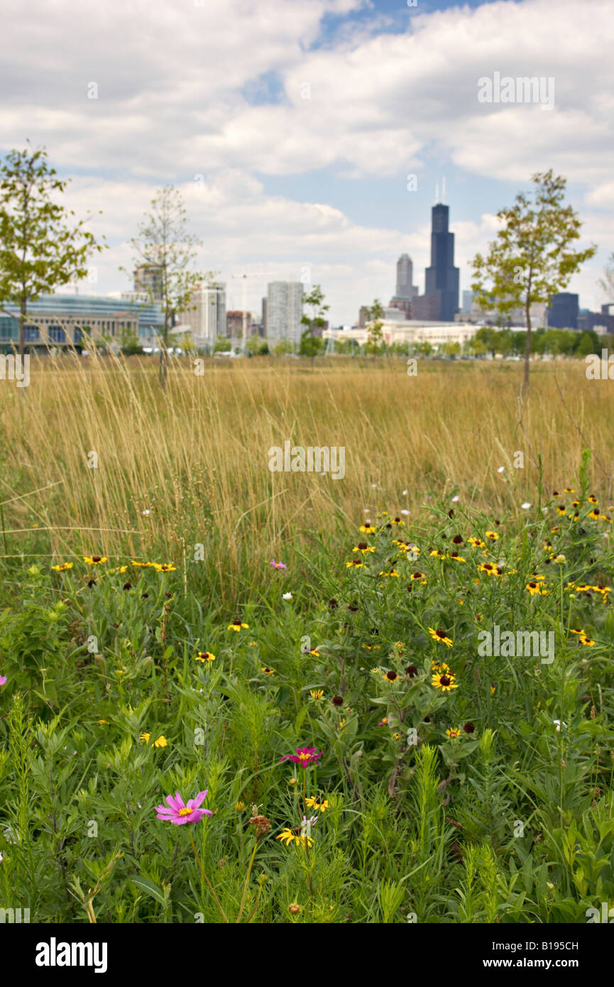LAKEFRONT Chicago Illinois Northerly Island prairie restoration ...