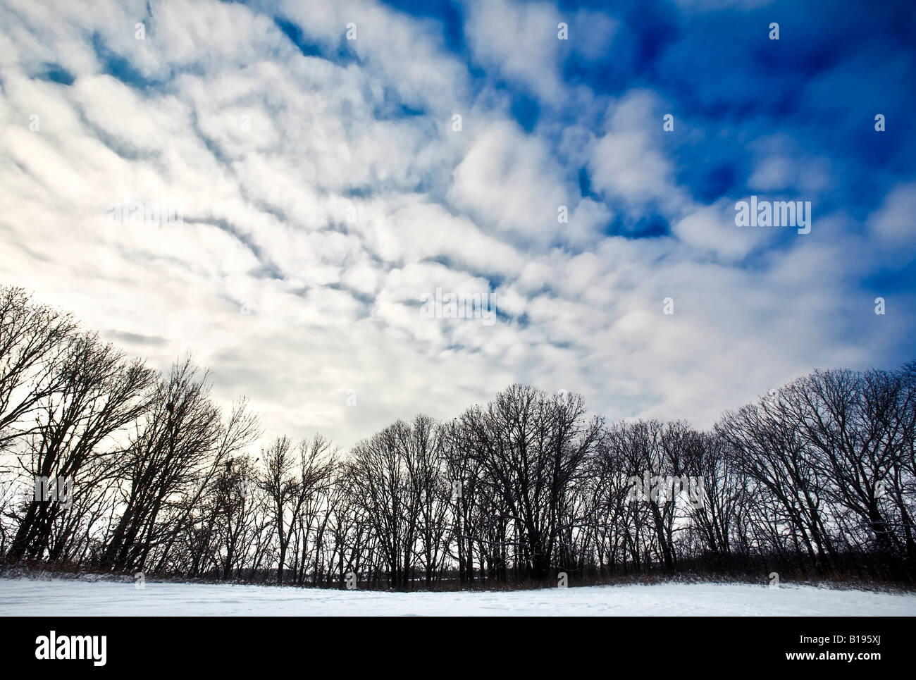 Clouds over the trees Stock Photo - Alamy