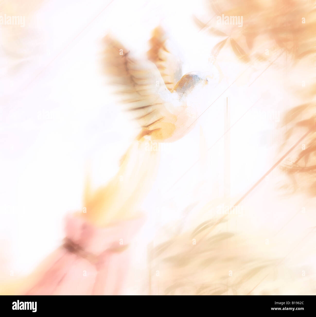 Bird being released Stock Photo - Alamy