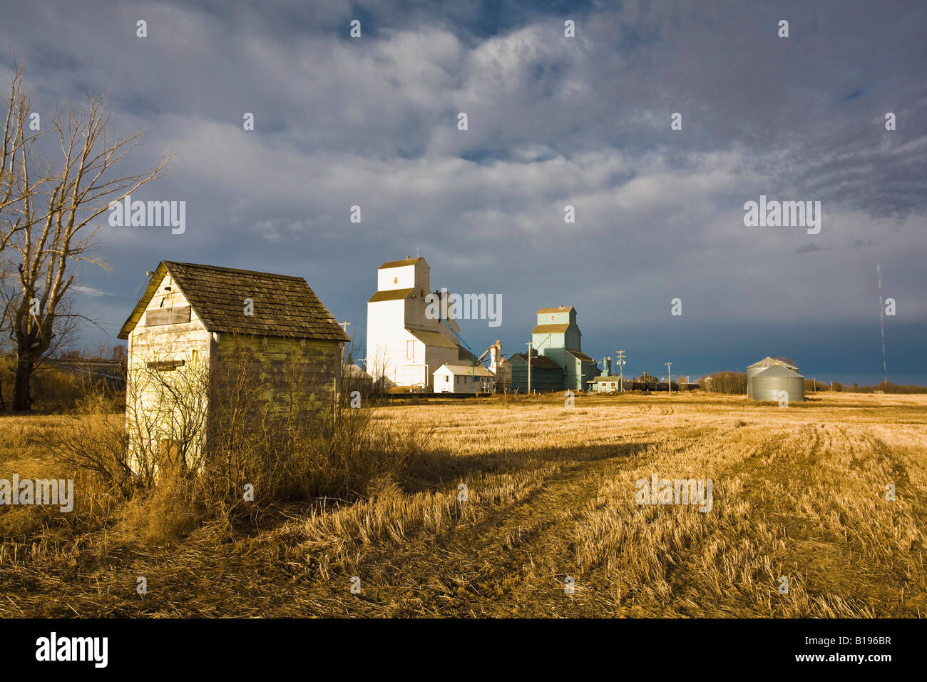Grain elevators, Stettler, Alberta, Canada Stock Photo - Alamy