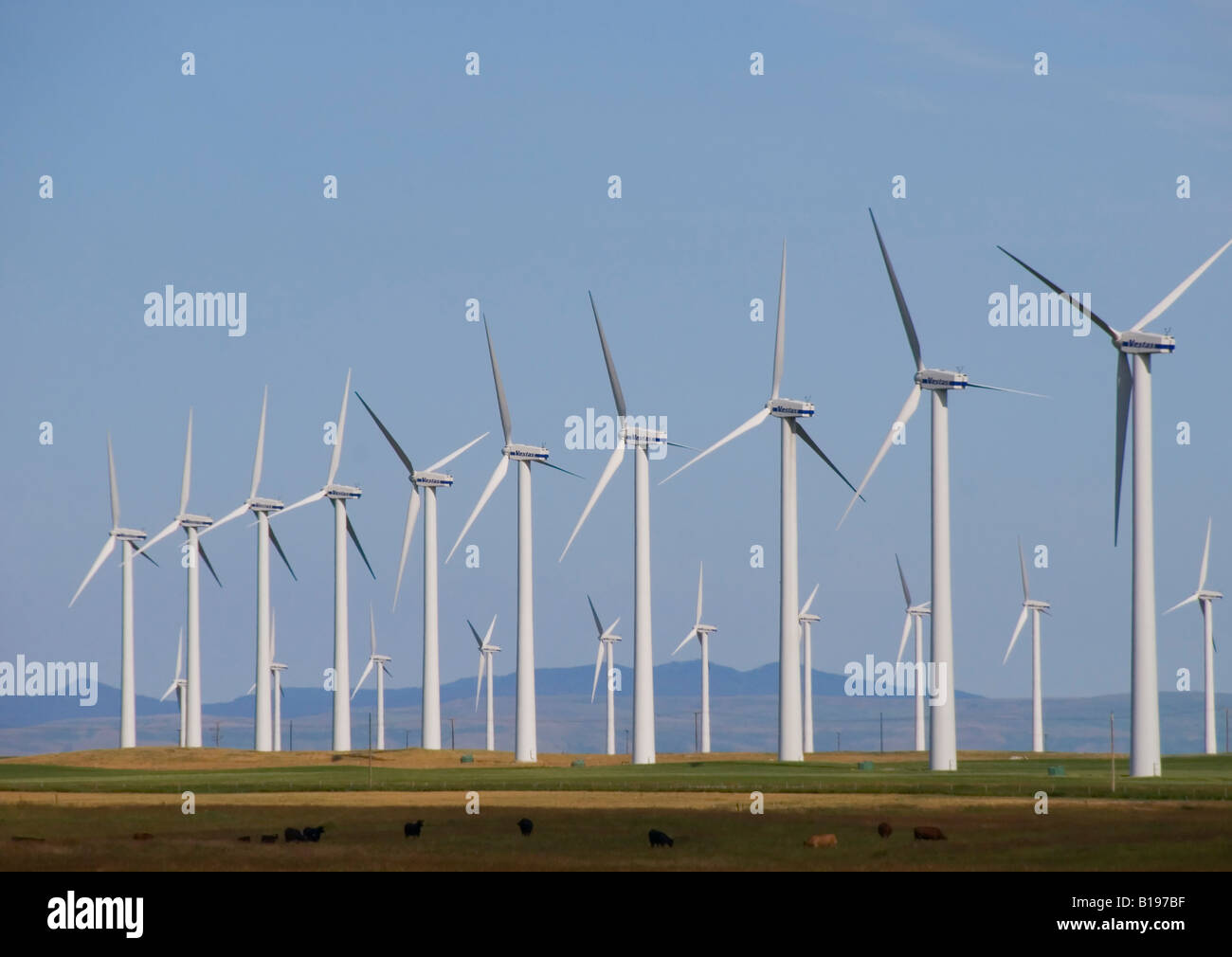 Wind Turbines. When you drive through southern Alberta you can see ...