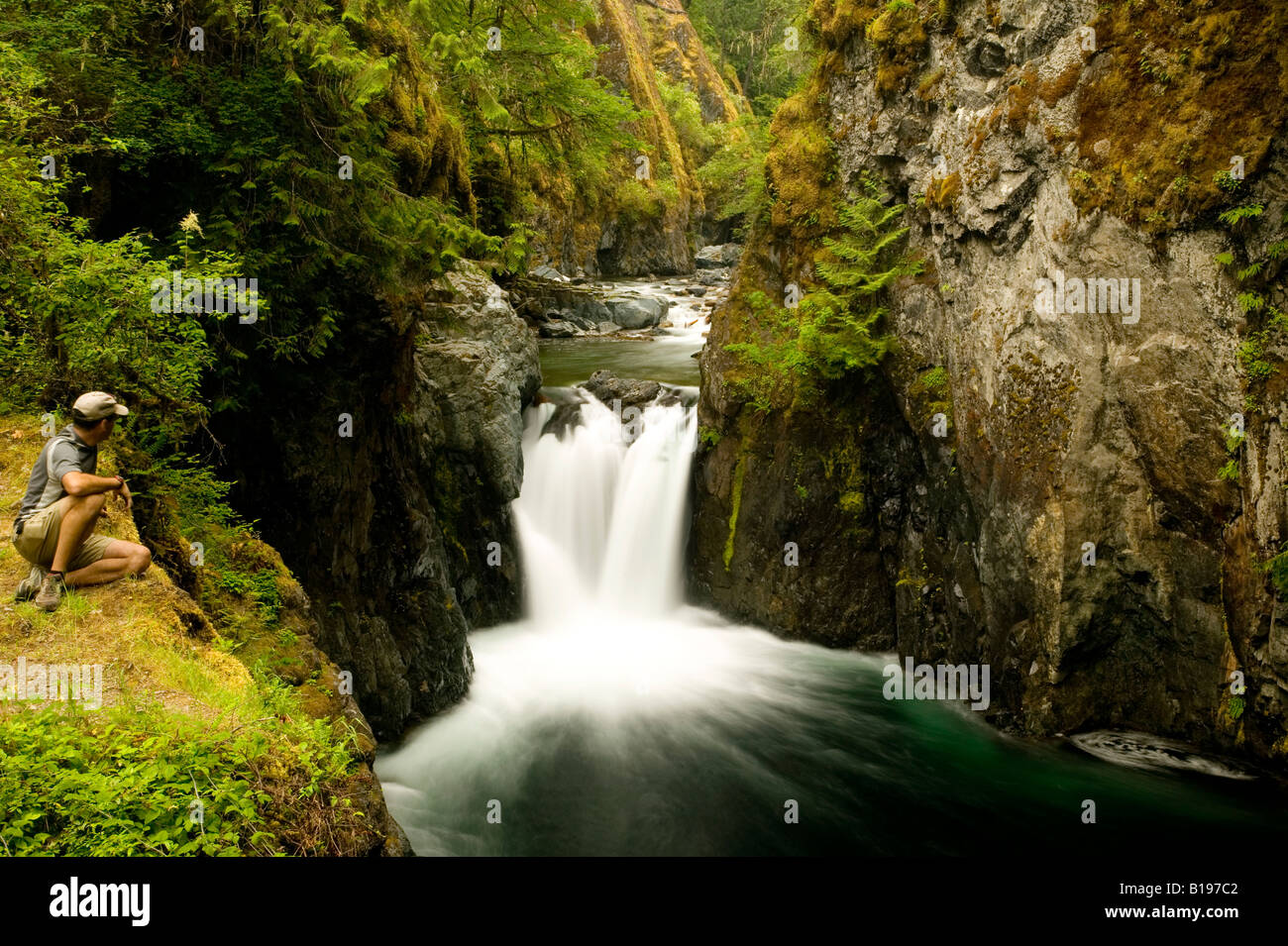 Man overlooking Englishman River Falls. Qualicum Beach, Vancouver ...