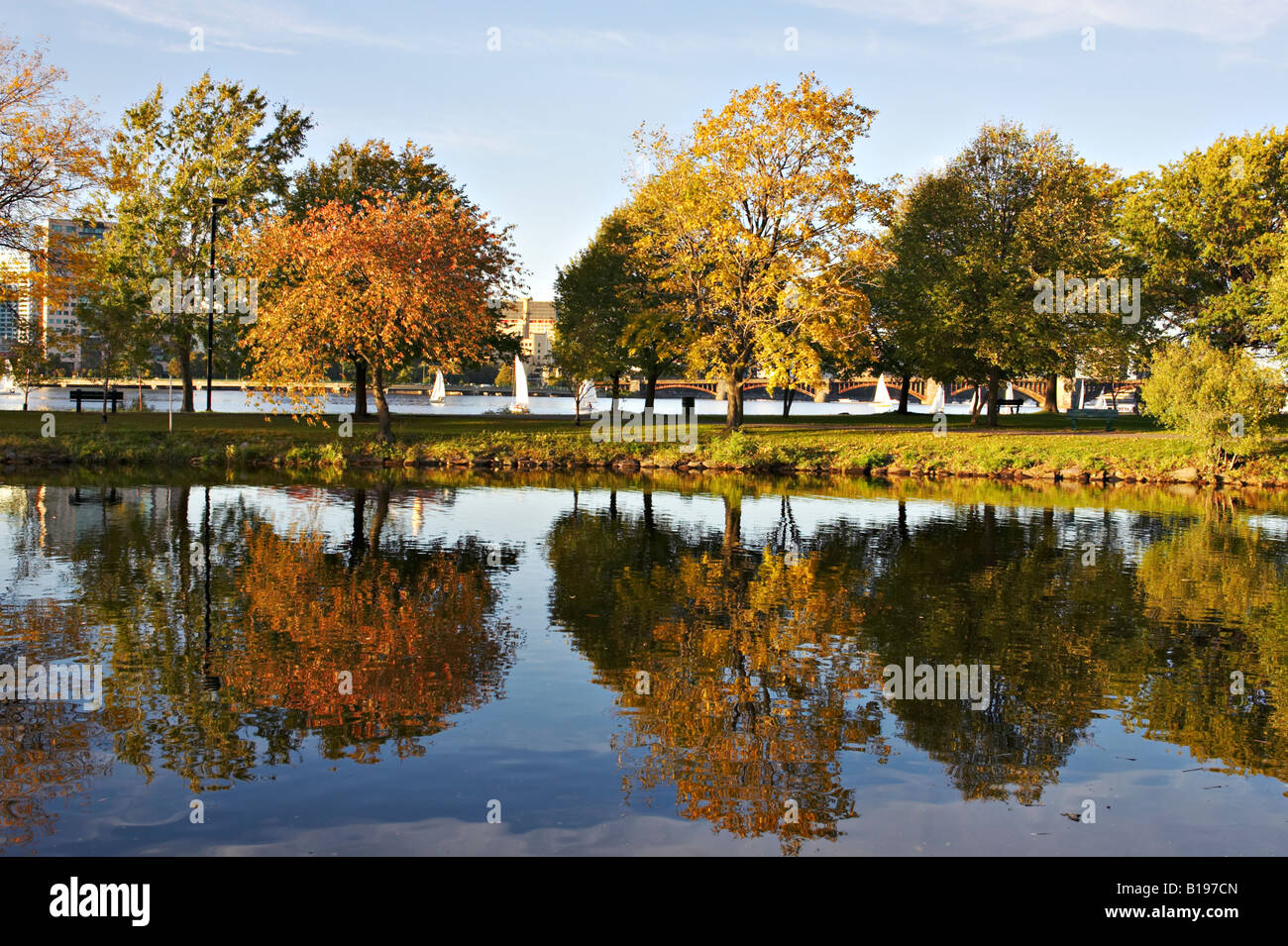 MASSACHUSETTS Boston Reflection of fall foliage in water along the ...