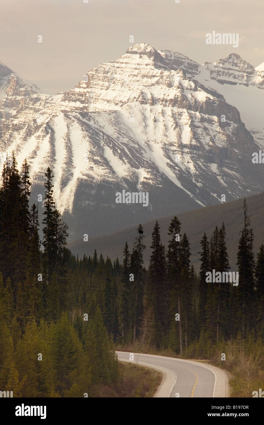 Temple Mountain, and highway 93 (the Icefields Parkway), Banff National ...