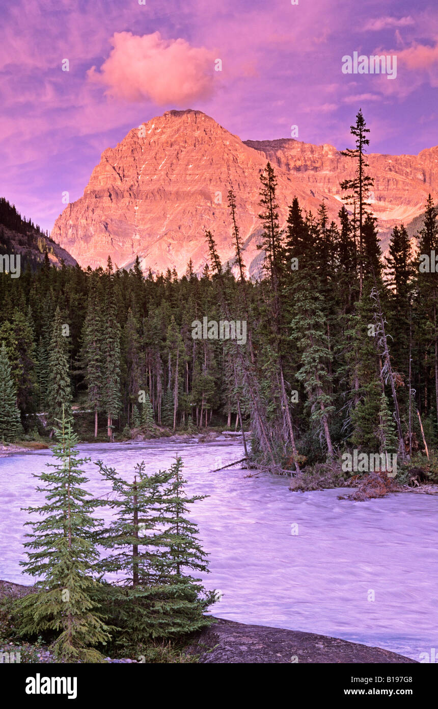 Mt Stephen And The Kicking Horse River High Resolution Stock ...