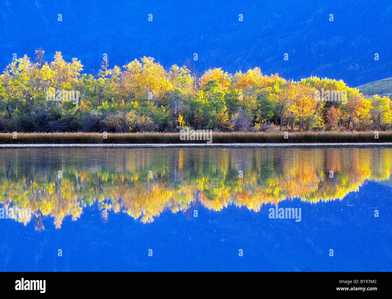 Maskinonge hi-res stock photography and images - Alamy