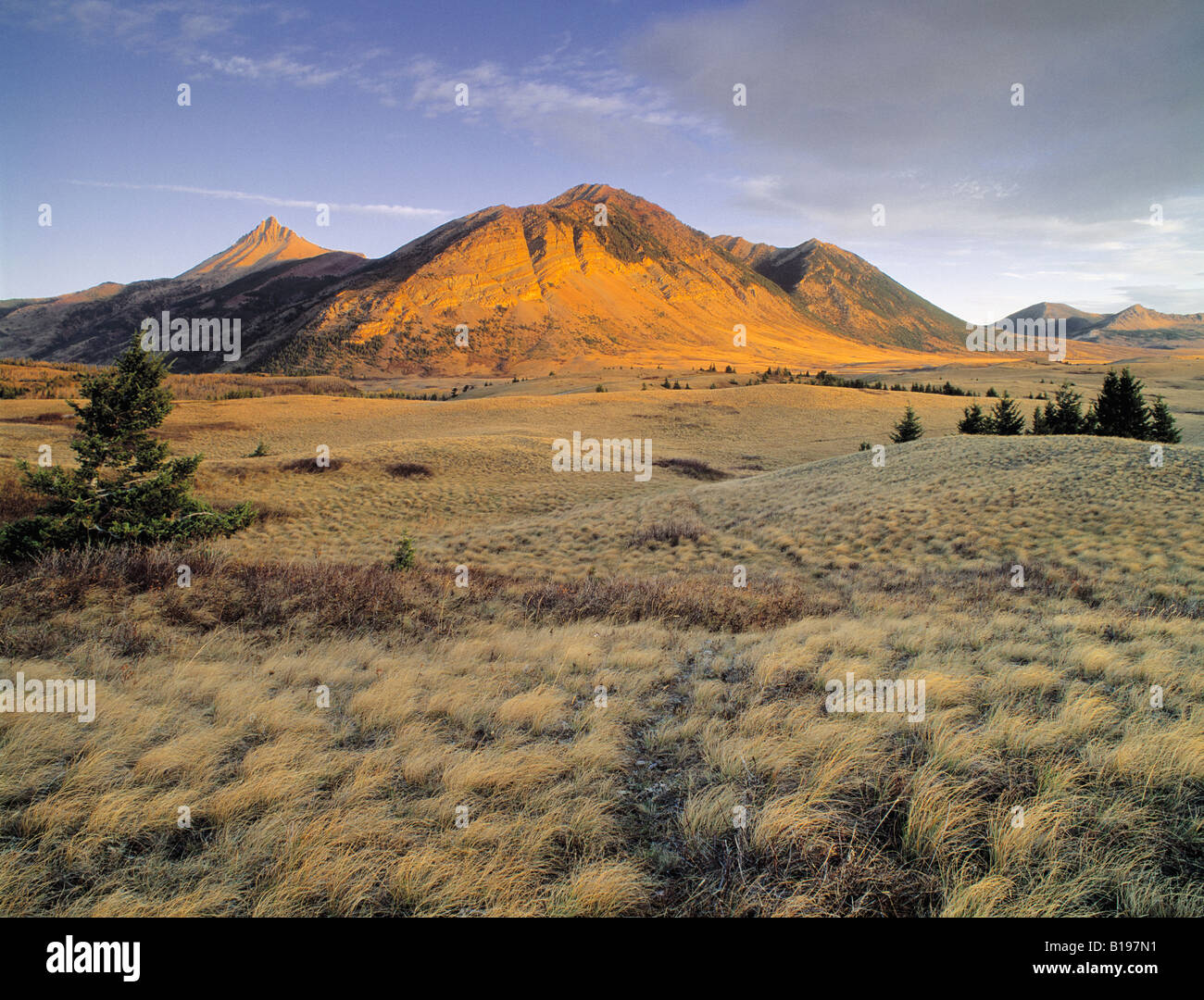 Bellevue Alberta High Resolution Stock Photography and Images - Alamy