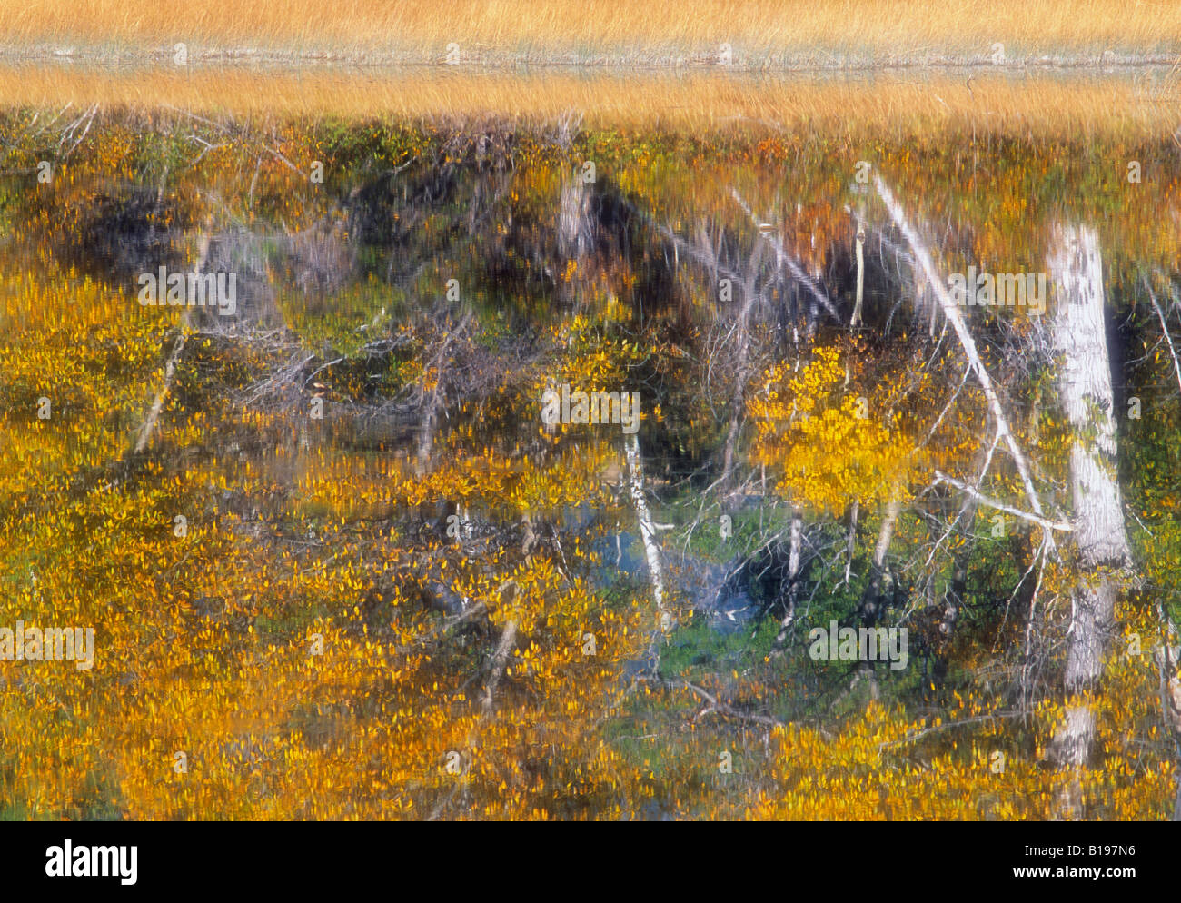 Maskinonge lake waterton lakes national hi-res stock photography and ...