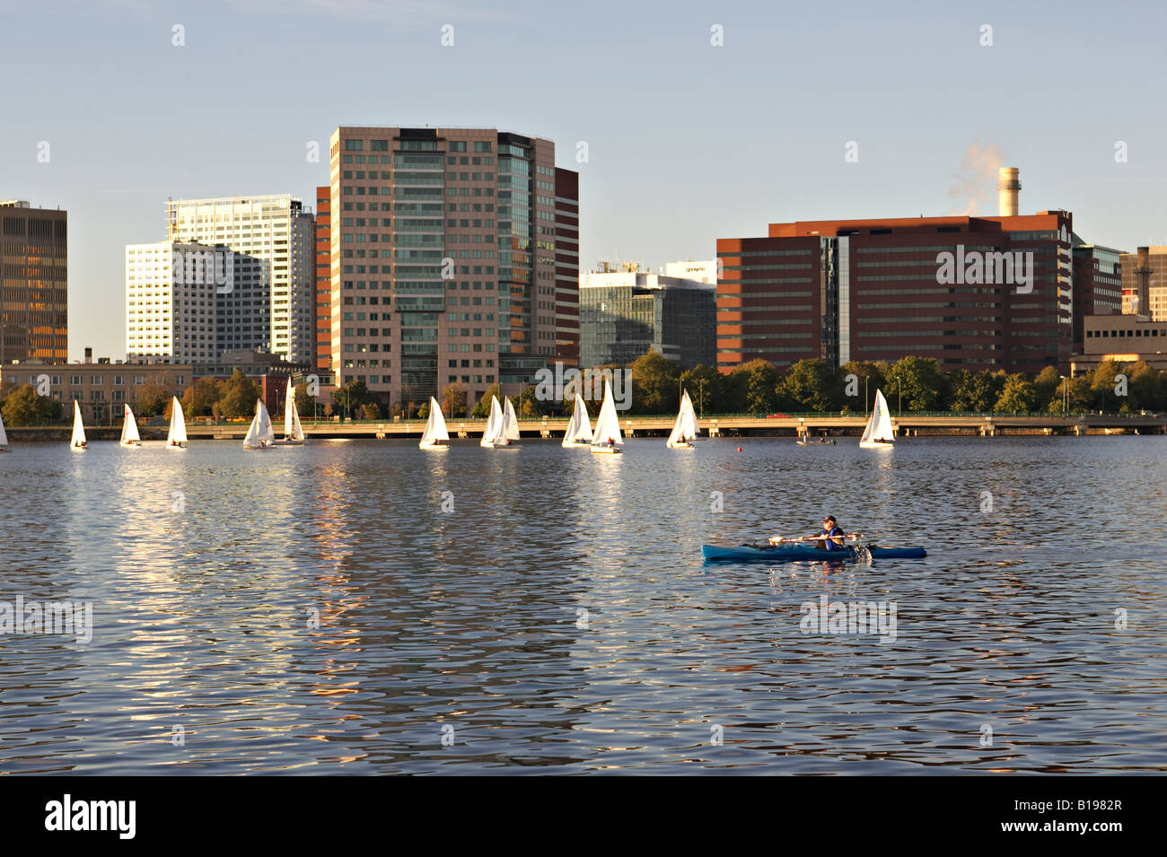 MASSACHUSETTS Boston Group of sailboats on Charles River Basin between ...