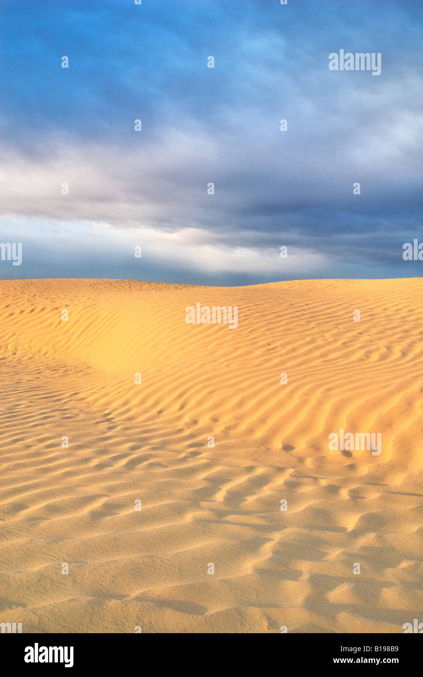 Canada desert storm hi-res stock photography and images - Alamy
