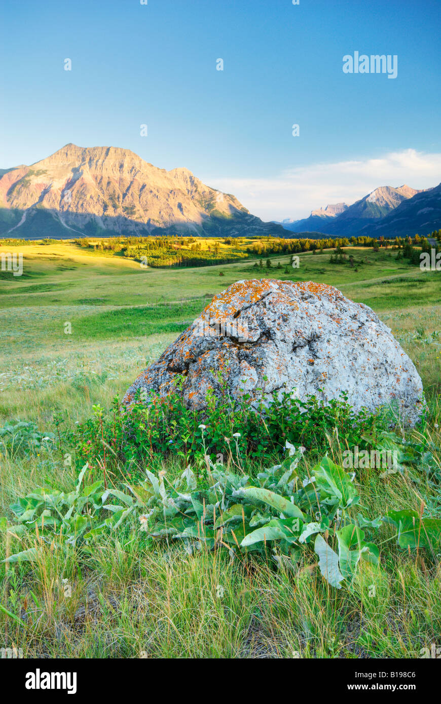 Vimy ridge hi-res stock photography and images - Alamy