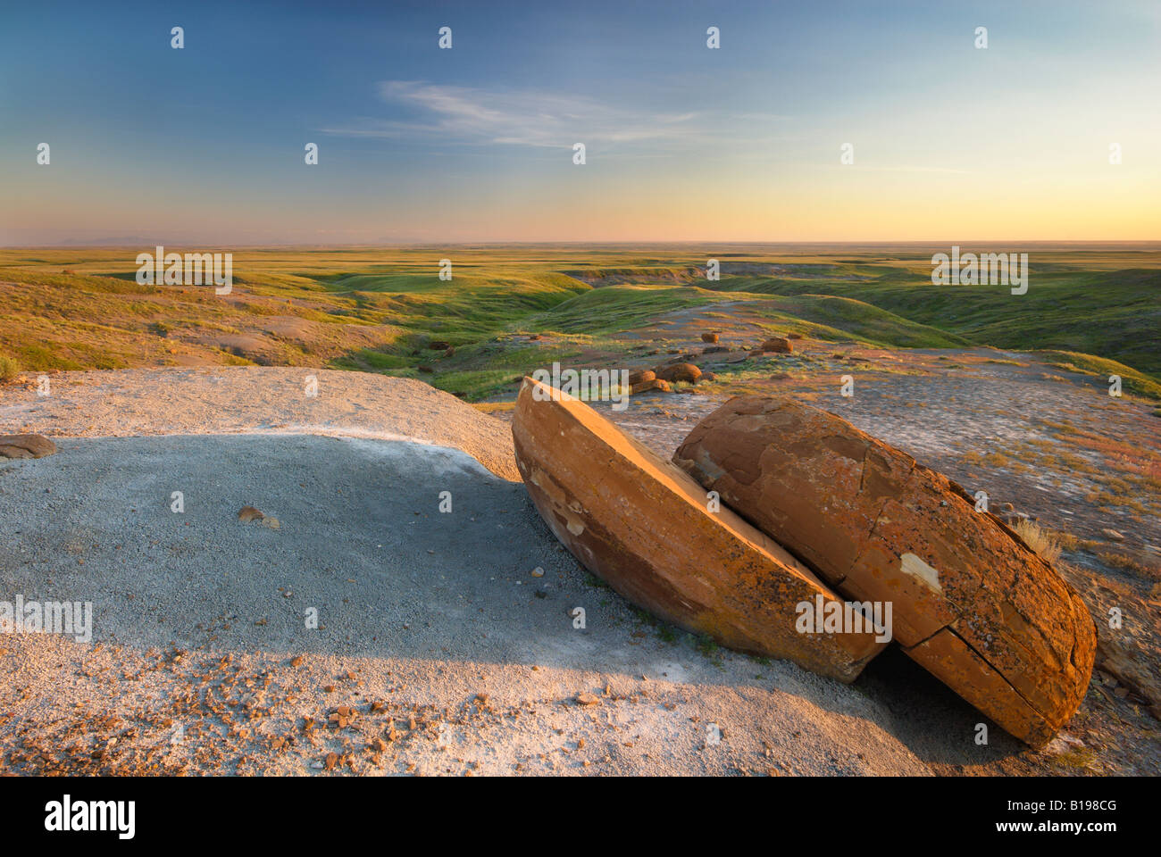 Concretion hi-res stock photography and images - Alamy