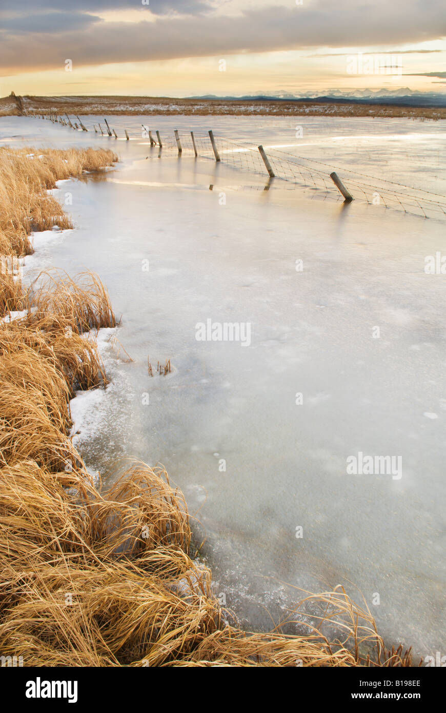Frozen slough hi-res stock photography and images - Alamy