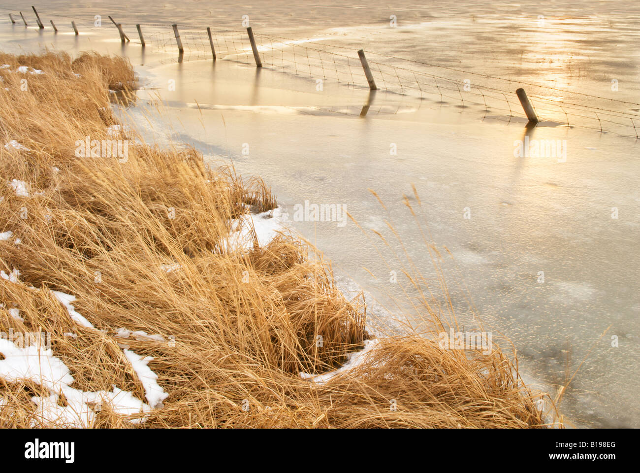 Frozen slough hi-res stock photography and images - Alamy