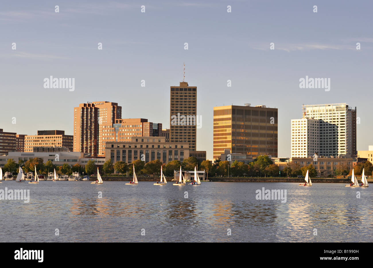 MASSACHUSETTS Boston Group of sailboats on Charles River Basin between ...