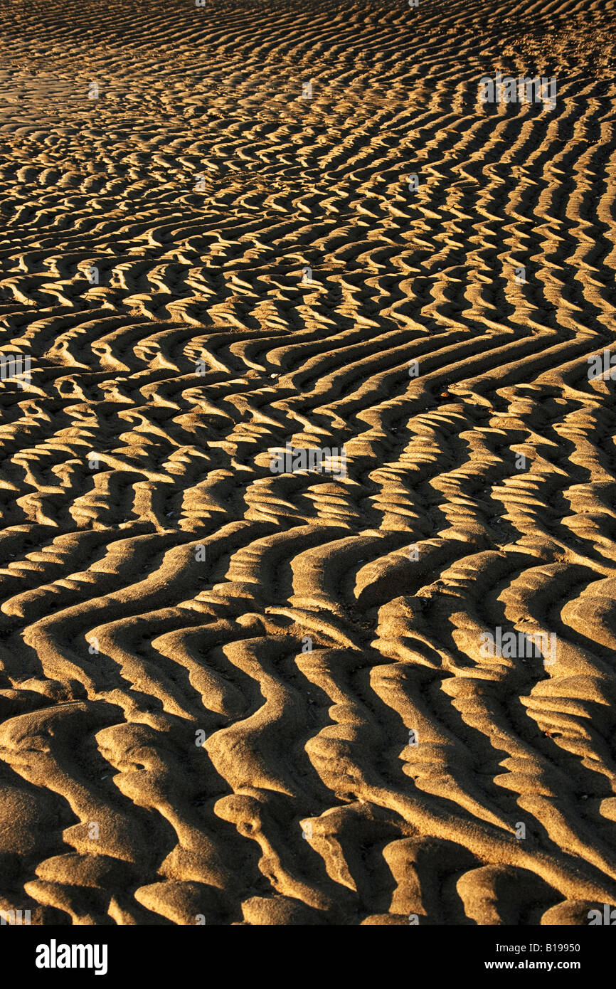 Ripples in Sand on Beach, First Encounter Beach, Eastham, Cape Cod ...