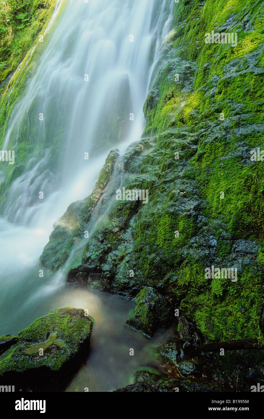 Madison Falls in Olympic Nationl Park, Washington, USA Stock Photo - Alamy