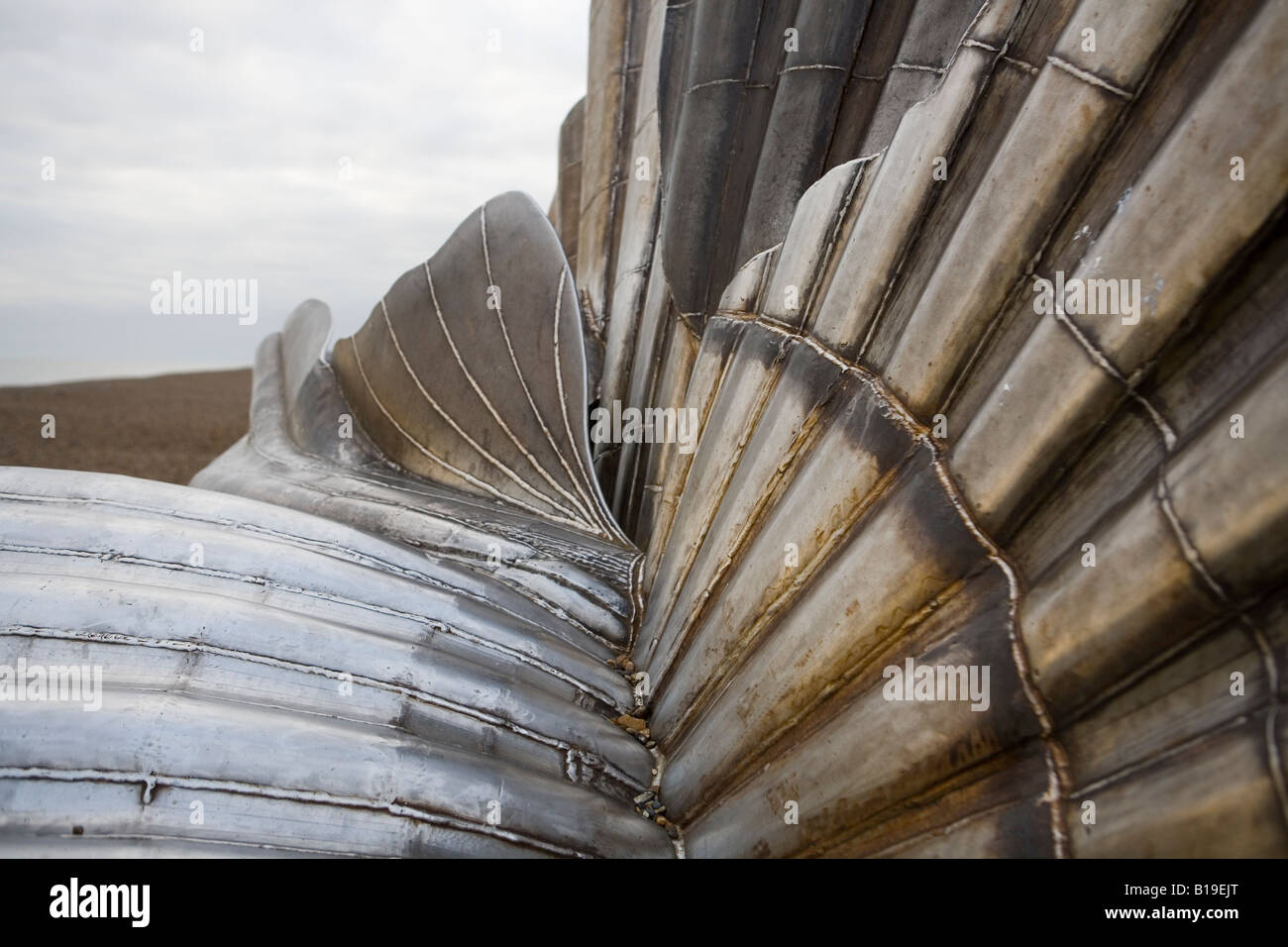 the folds and welded together steel parts of the Scallop sculpture on ...