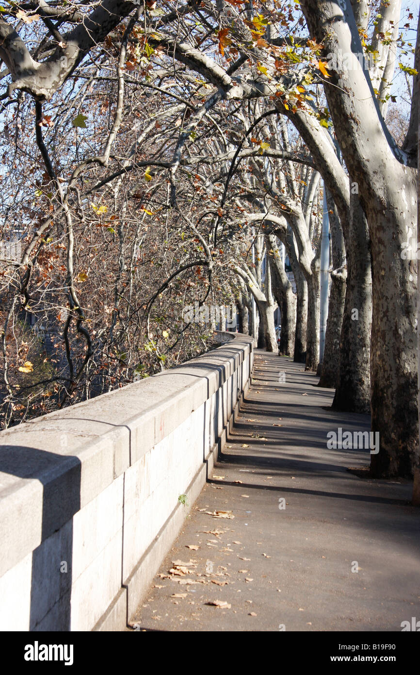 Walkway along the banks of the Tiber river in Rome Italy Stock Photo ...