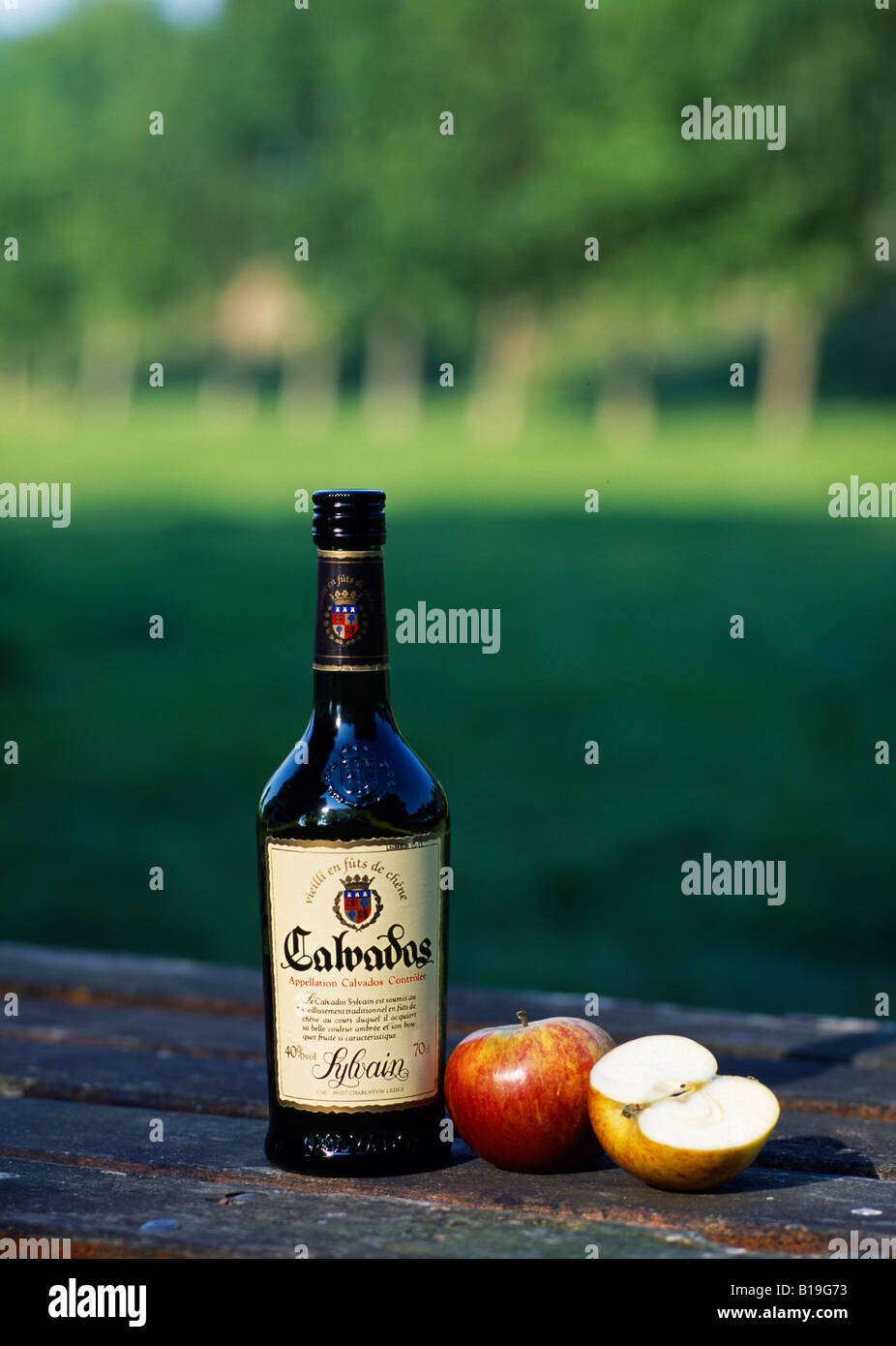 France, Normandy, Pays d'Auge. Calvados & Apples. Calvados is a spirit ...