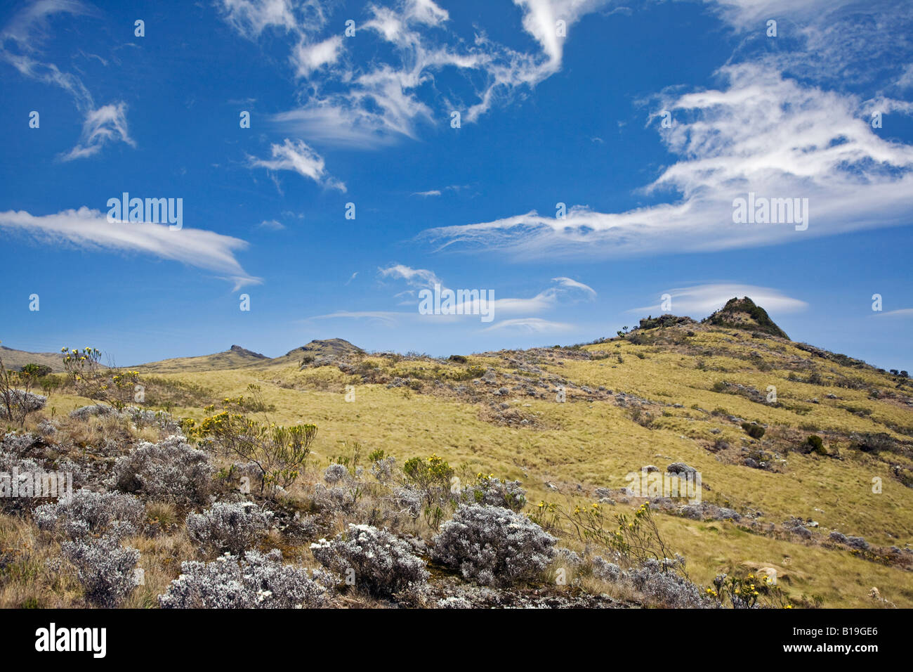 Kenya highlands hi-res stock photography and images - Alamy