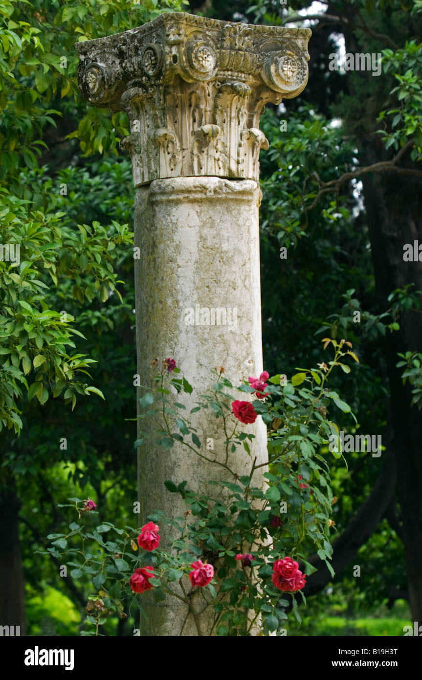 Spain, Andalucia, Seville. A classical column surrounded by roses in ...