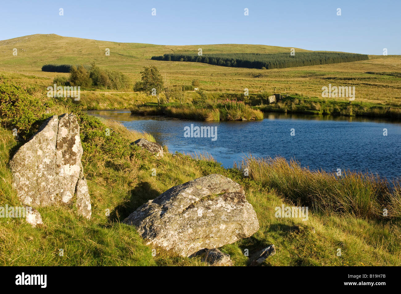 Pentre wood hi-res stock photography and images - Alamy