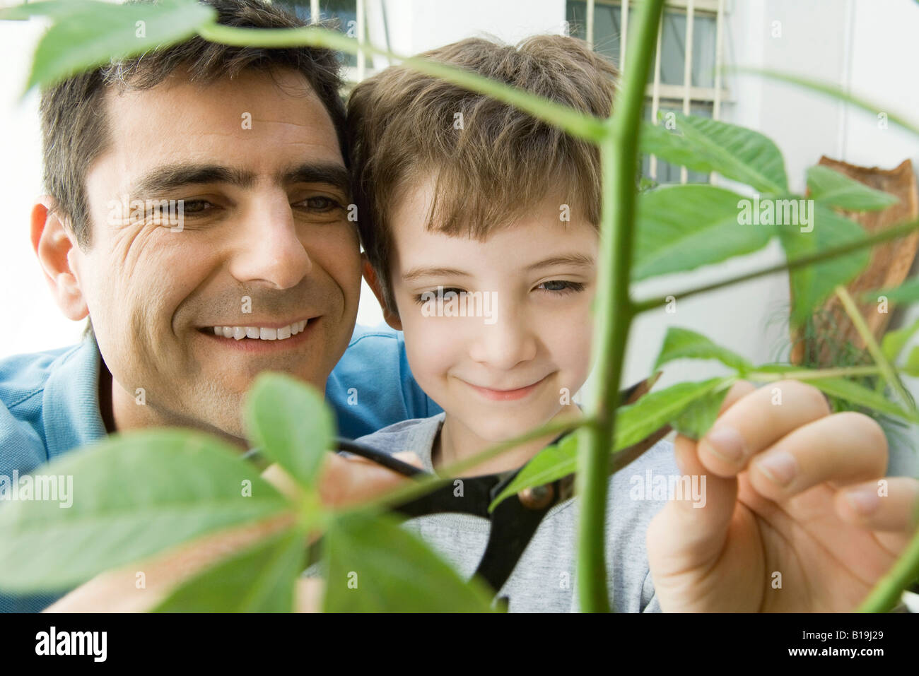Father teach son plant hi-res stock photography and images - Alamy