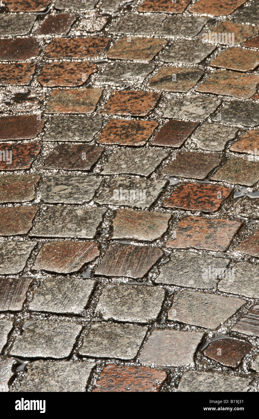Textured cobblestone pathway with varied colors and patterns in an ...