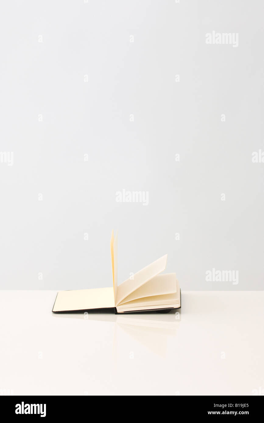 Open book, blank pages Stock Photo - Alamy Open book, blank pages Stock Photo - Alamy