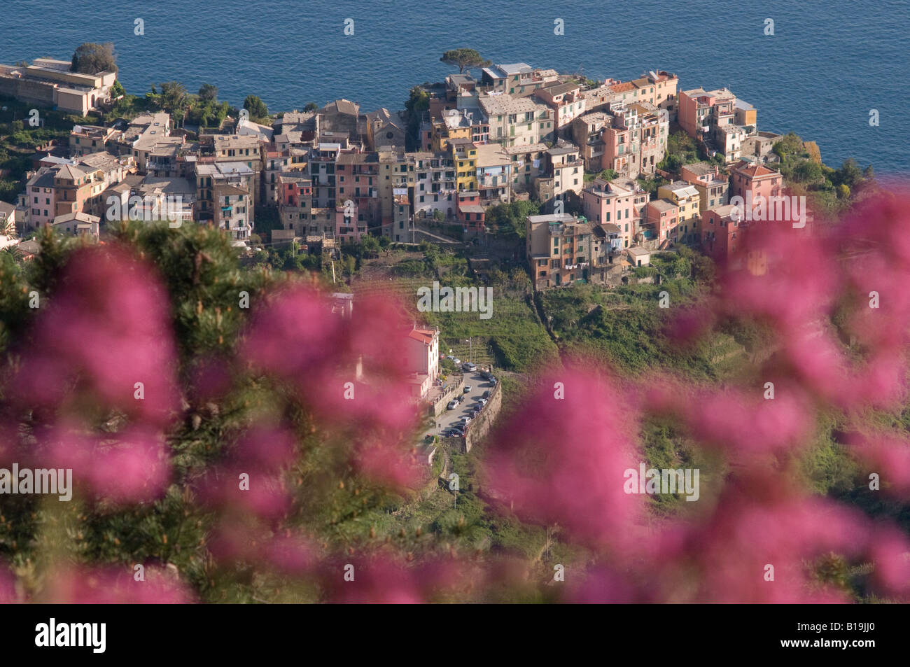 sea liguria cinque terre flowers vernazza manarola bay italy boat beach ...