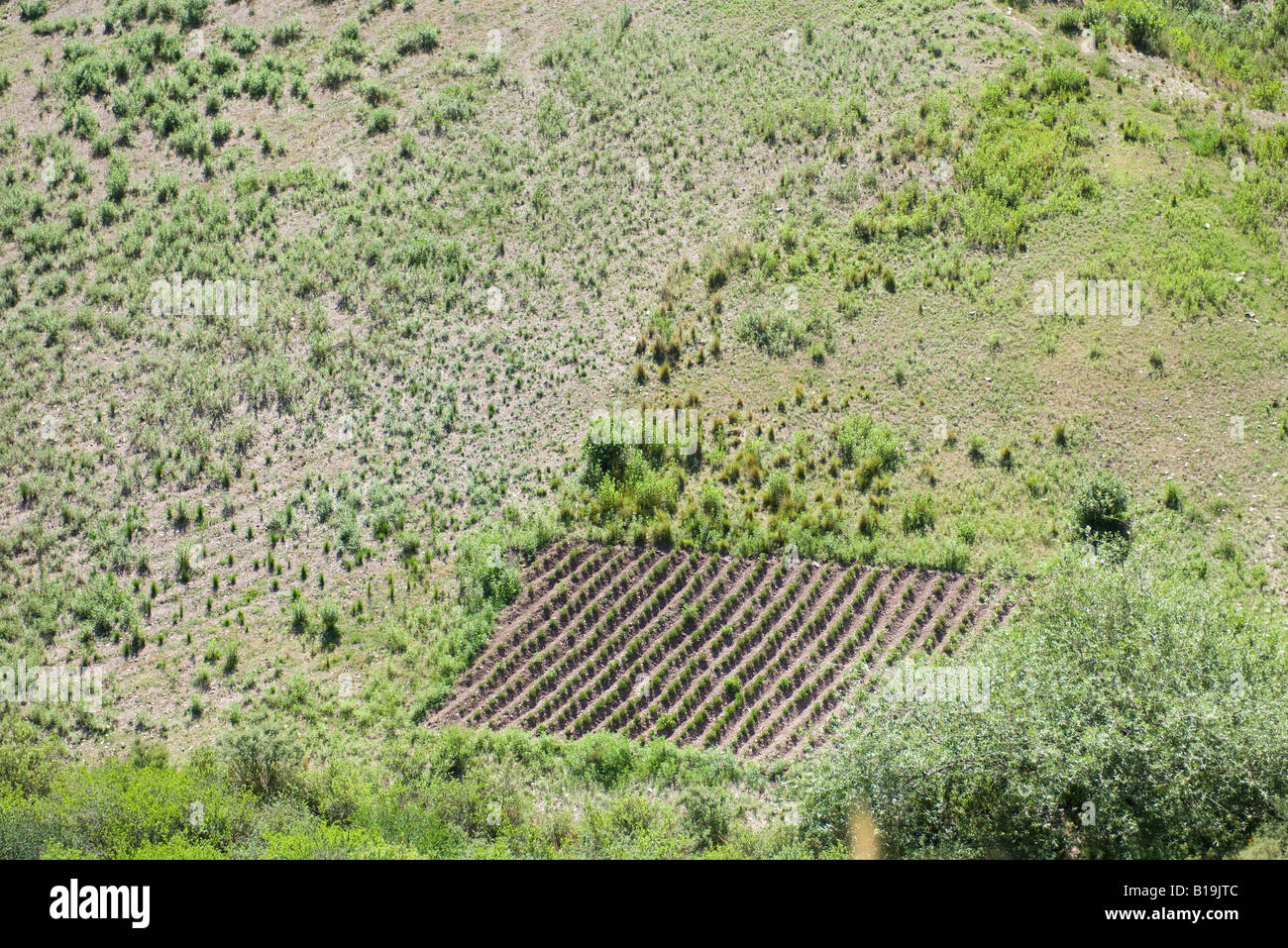 Drought crops from above hi-res stock photography and images - Alamy