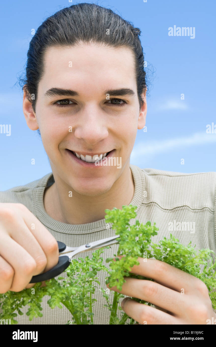 Man cuts plant gardening hi-res stock photography and images - Alamy