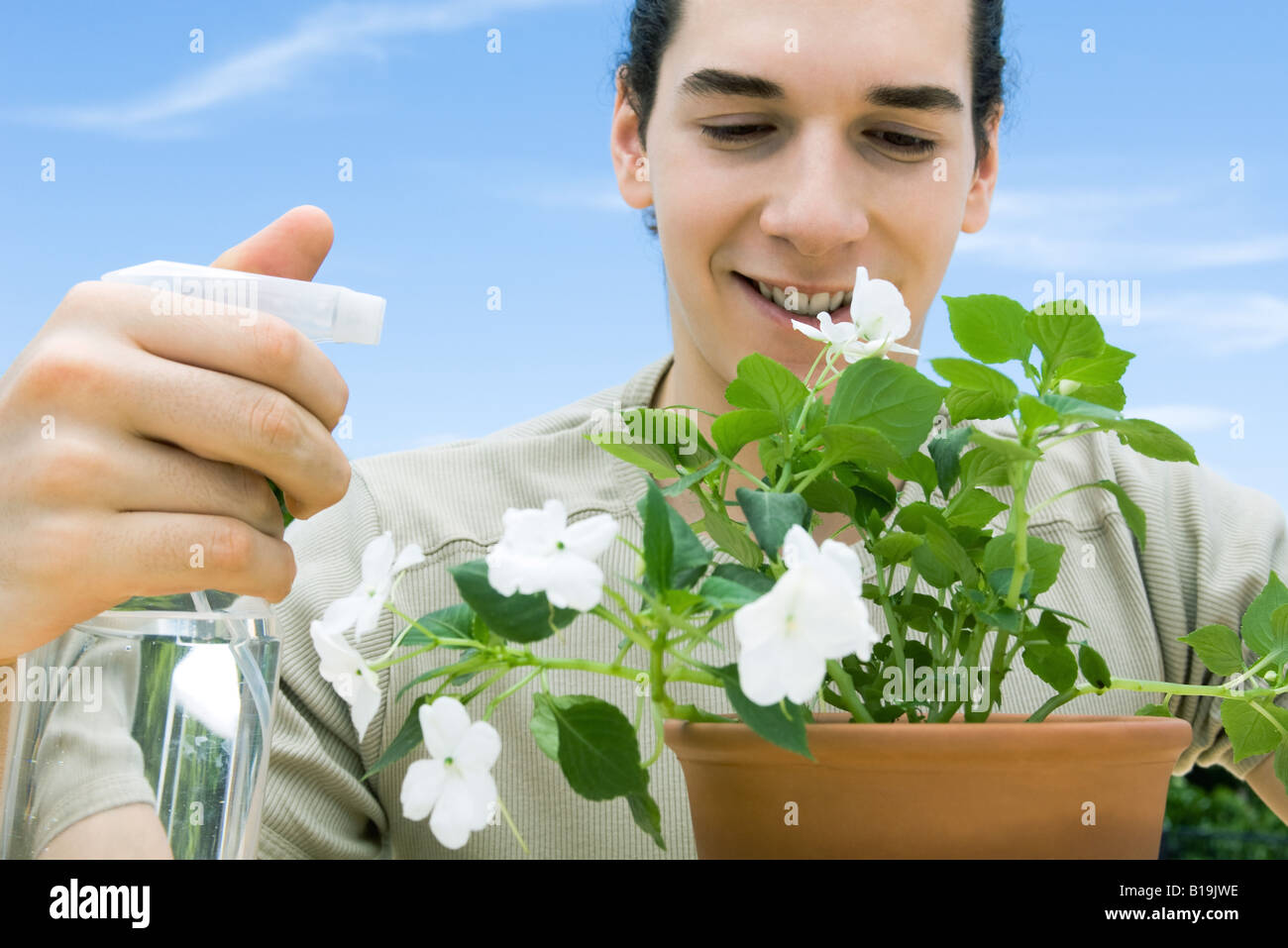 Annual yardwork hi-res stock photography and images - Alamy