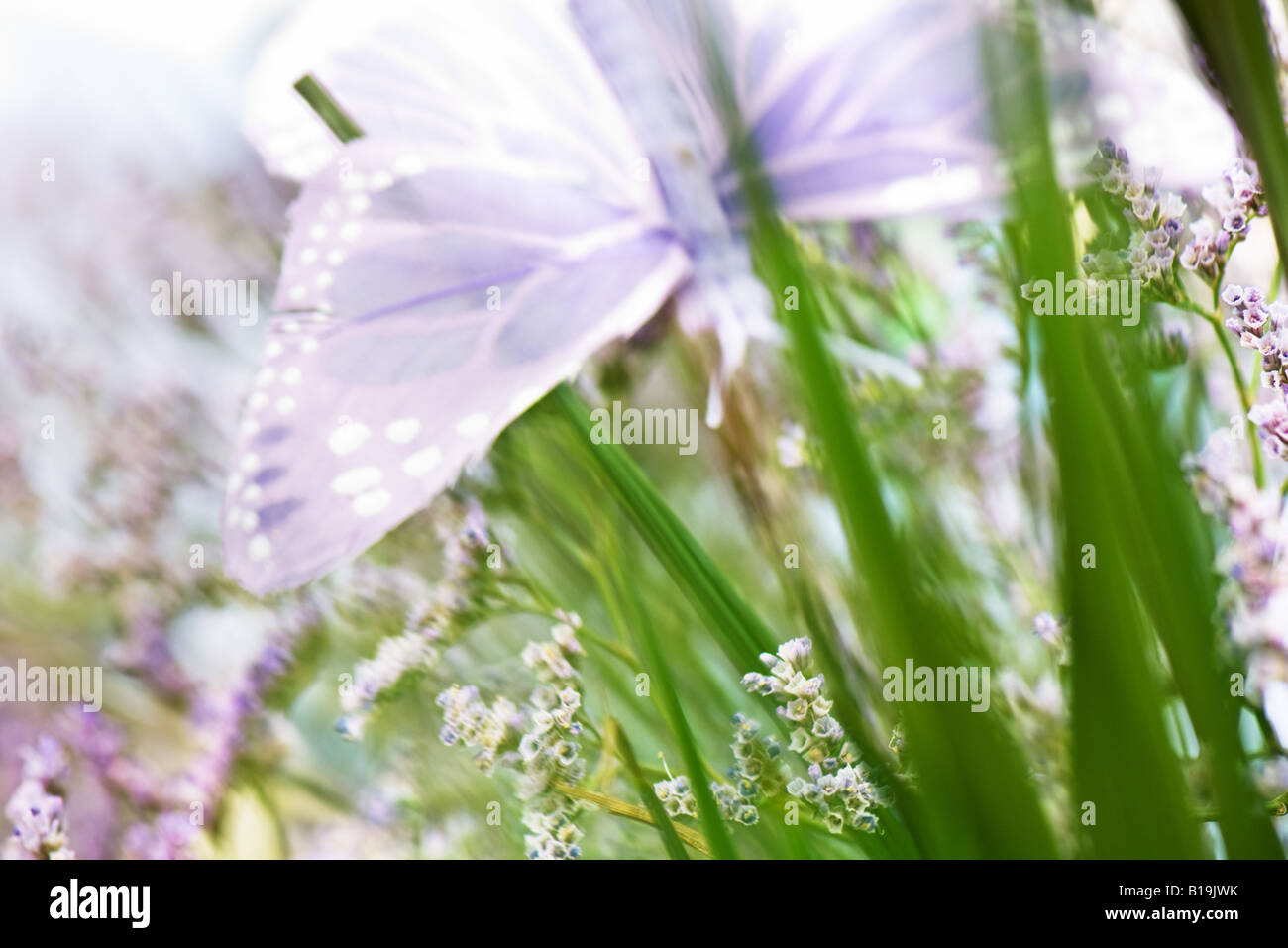 Fake butterfly hi-res stock photography and images - Alamy